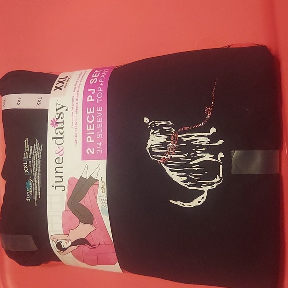 june &daisy | Intimates & Sleepwear | June Daisy 2pc Pj Set 34 Sleeve ...